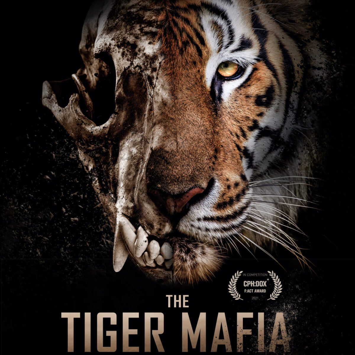 The Tiger Mafia | Festival Santiago Wild