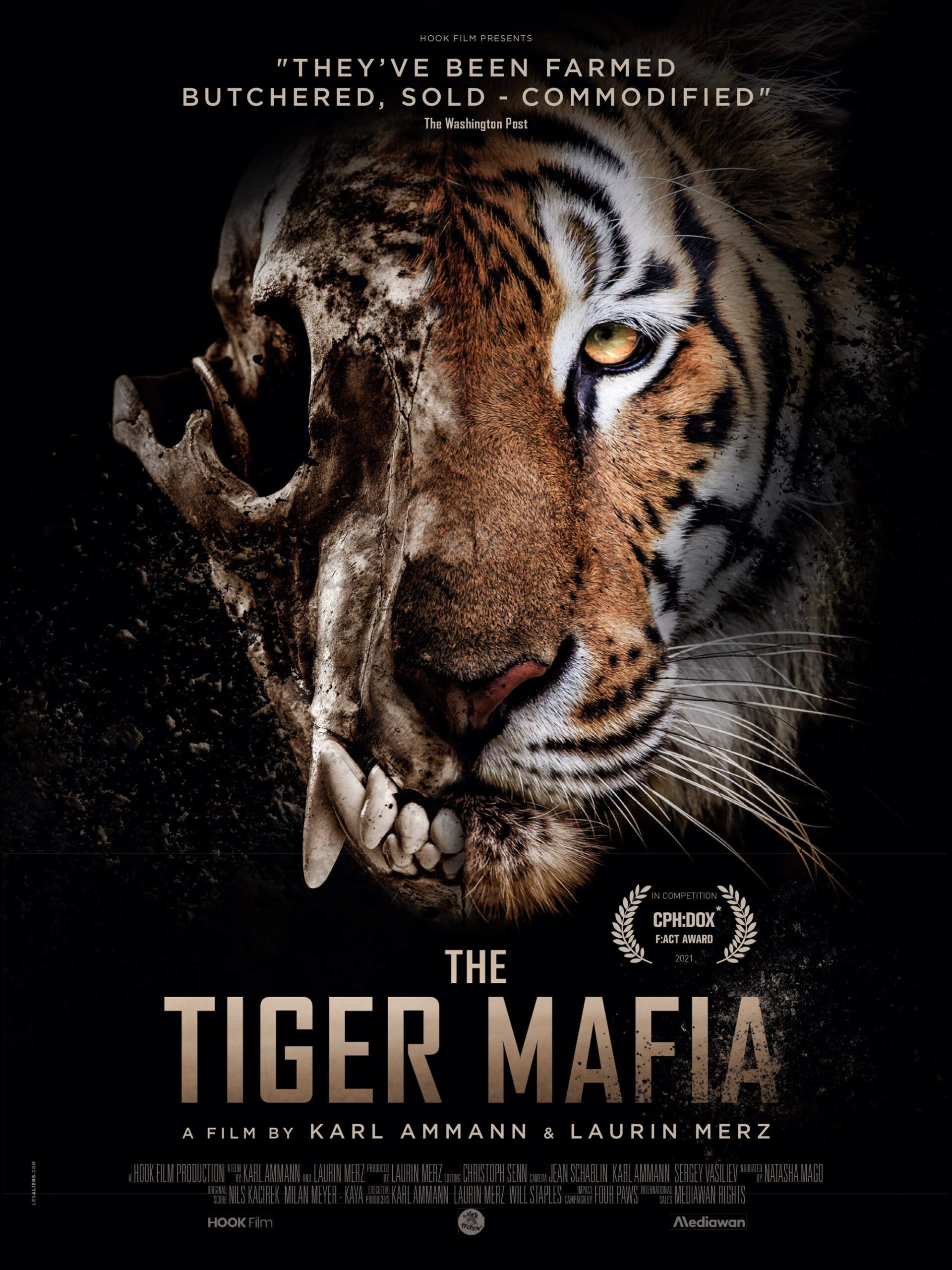 The Tiger Mafia | Festival Santiago Wild