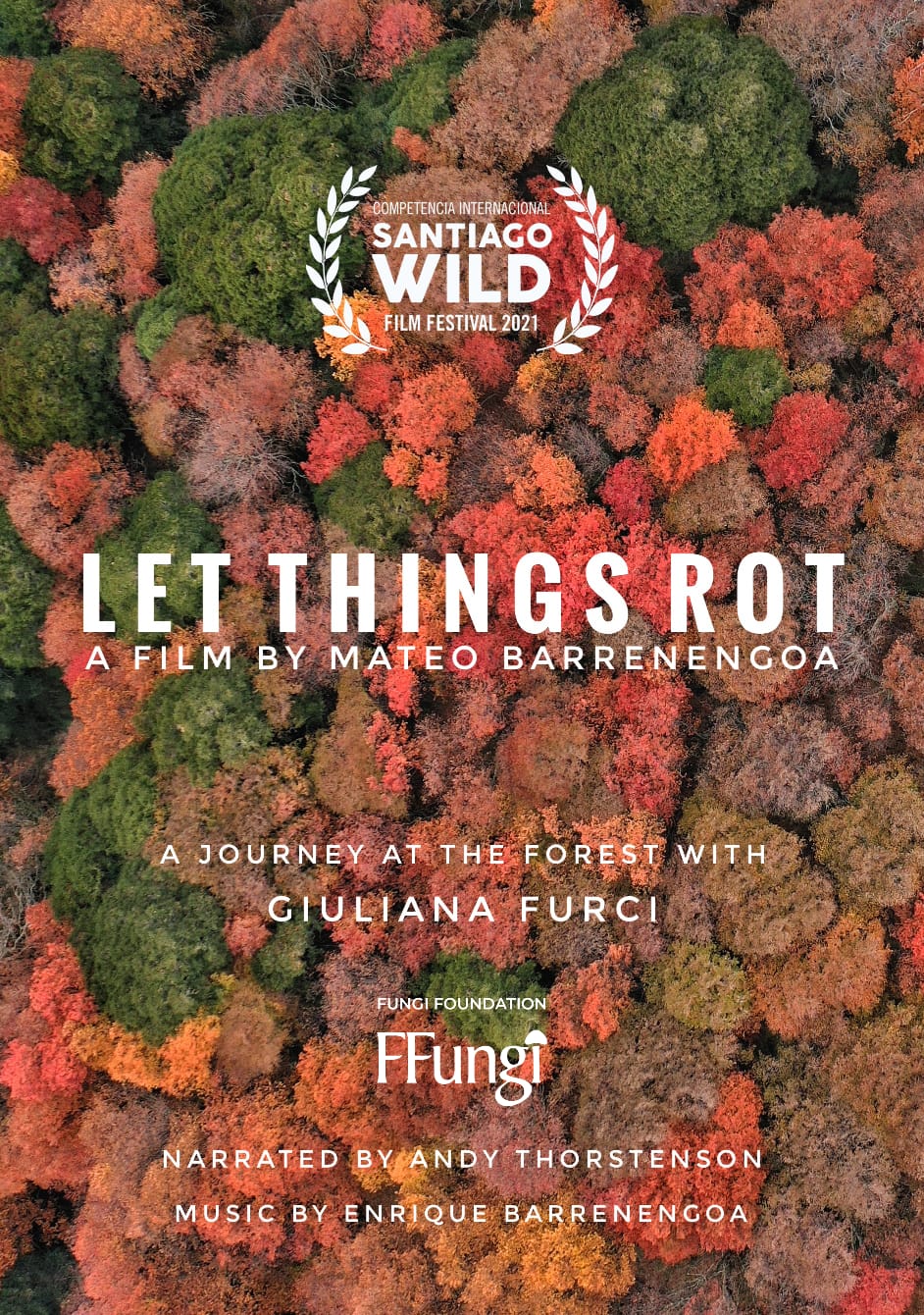 Deja que las cosas se pudran | Festival Santiago Wild