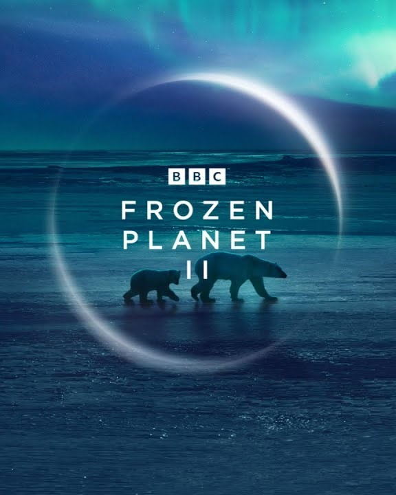 Frozen Planet II – Frozen Peaks (BBC) | Festival Santiago Wild