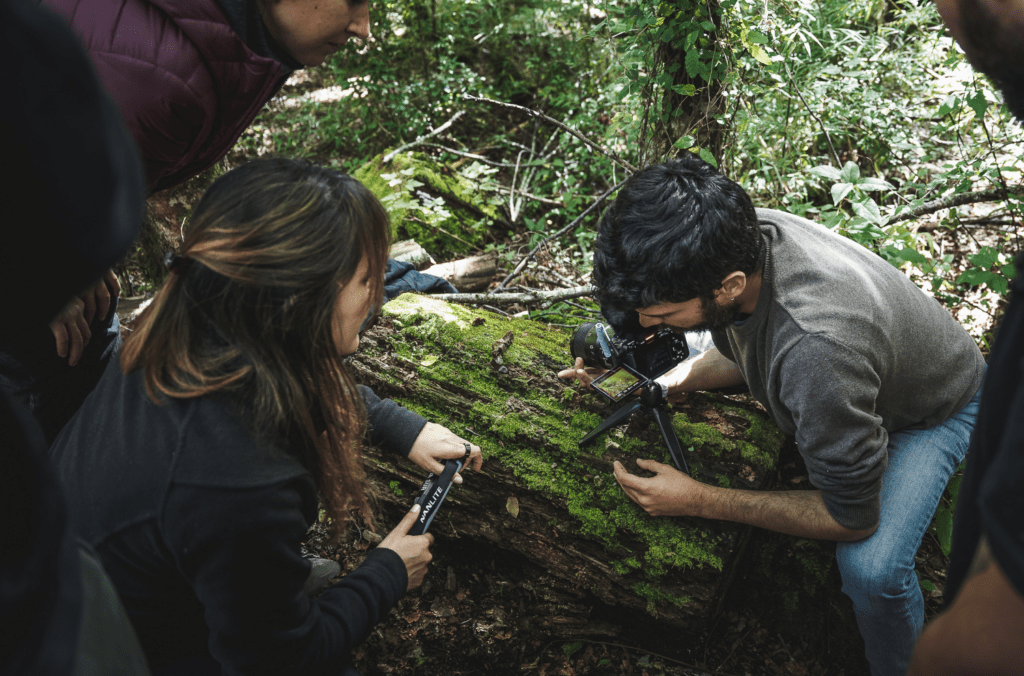 Funciones presenciales | Festival Santiago Wild