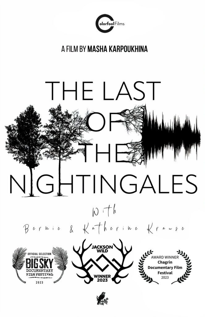 Last of the nightingales | Festival Santiago Wild