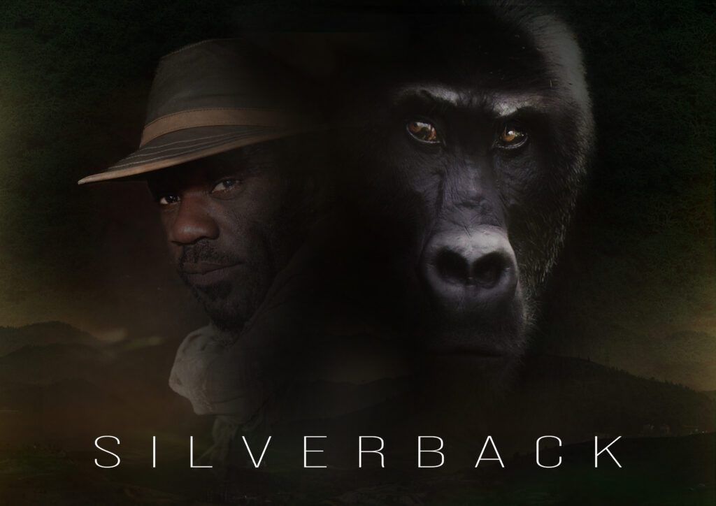 Silverback | Festival Santiago Wild