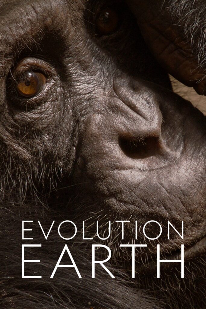 Evolution Earth (Episode 2: Islands) | Festival Santiago Wild